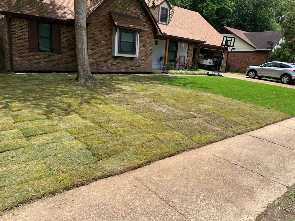 Lawn Care Plus